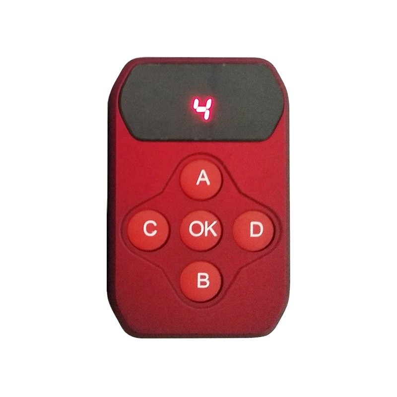 RS 2127 Key Fob Remote - Custom Remote Controls - Remote Control ...